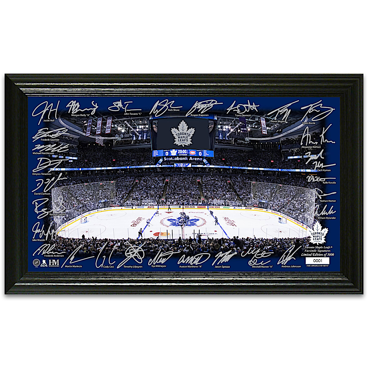 Toronto Maple Leafs® Rink NHL® Framed Wall Decor Featuring Replica ...
